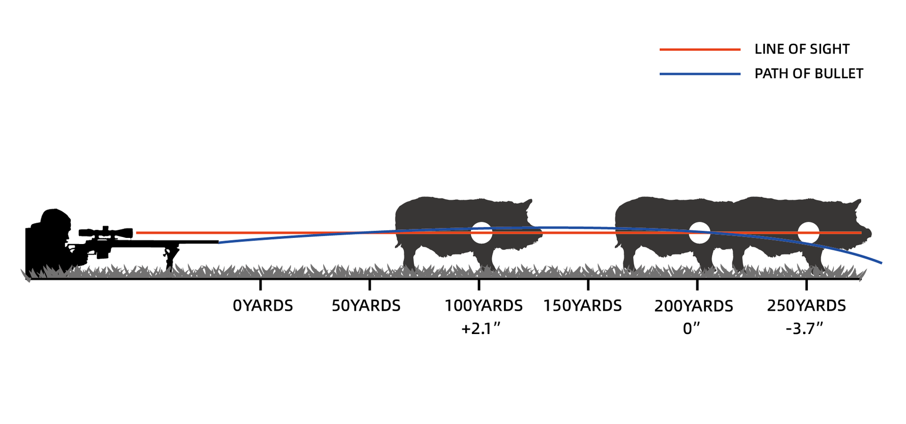 How to Zero a Rifle Scope: 3 Easy Steps for Accurate Shooting – Vector ...