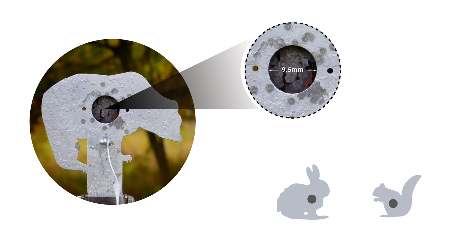 Field Target Beginner Guide: Start Smarter, Shoot Better – Vector ...